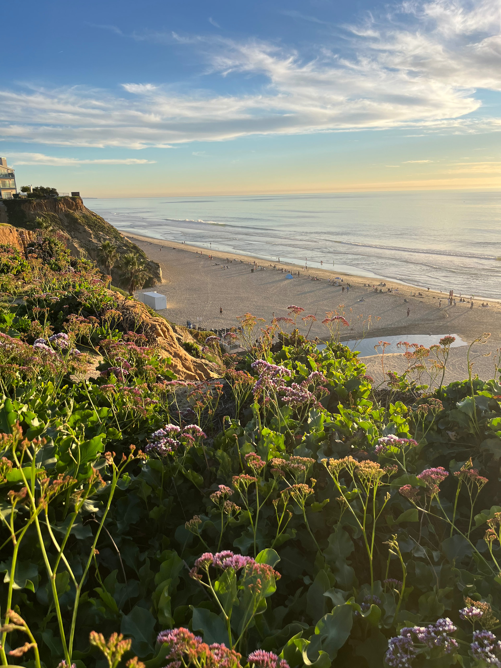 DOJ Abandons Probe of Fatal ICE Shooting of Renee Good - Page 12 - TPM ...