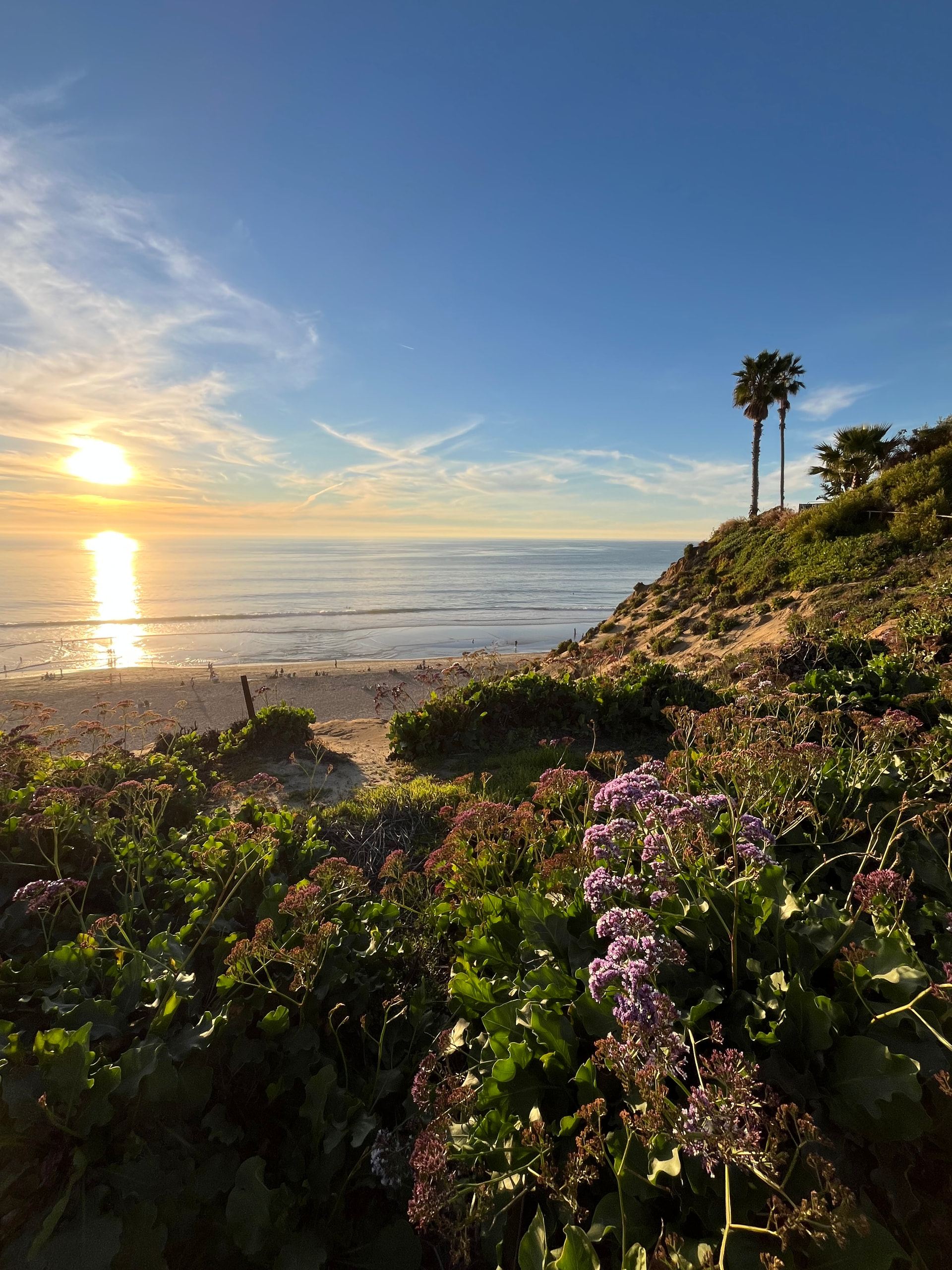 DOJ Abandons Probe of Fatal ICE Shooting of Renee Good - Page 12 - TPM ...