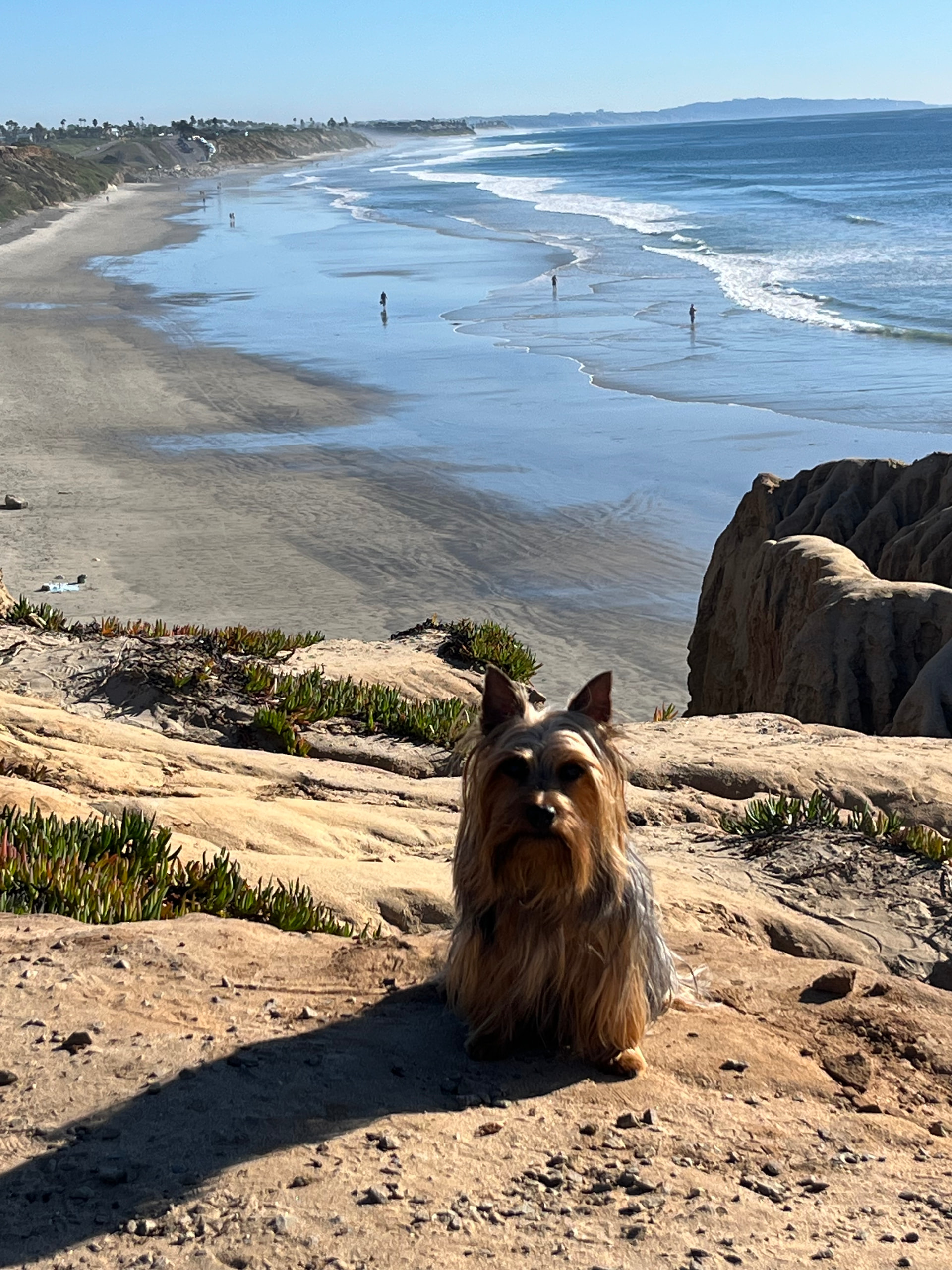 DOJ Abandons Probe of Fatal ICE Shooting of Renee Good - Page 12 - TPM ...